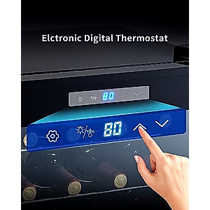 BODEGACOOLER 28 Bottle Compressor Wine Cooler Refrigerator, Mini Fridge with 41-64.4°F Digital Temperature Control Glass Door,Small Freestanding Wine Refrigerator for Red, White and Champagne