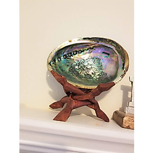 Cobra Stand 6" Bulk Wholesale Wood Display Stand, Crystal Ball, Abalone Shell Stand, Artisan Hand Carved, Stained Wooden 3 Leg Tripod Base Holder for Shells, Wicca, Reiki, Earthy Decor Display, (6)