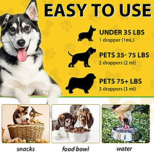 Natural Yeast Infection Treatment for Dogs - Helps to Support Itch Relief - Inflammation Relief & More - Dog Yeast Infection Treatment - Dog Ear Infection Treatment - Dog Allergy | 2 Oz