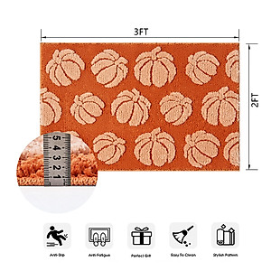 Aldopein Cute Pumpkins Bathroom Rugs Non Slip Washable, Burnt Orange Aesthetic Fall Autumn Bath Mat Rug Shaggy, 2x3 Rustic Farmhouse Country Fall Area Rugs for Bathroom Kitchen Entryway Indoor