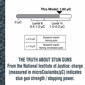 SABRE Realtree Edge 2-in-1 Stun Gun with Flashlight & Belt Holster, Emits 1.60 Powerful Pain Inducing Microcoulombs (µC) Charge, 120 Lumen LED Flashlight, Rubberized Grip, Compact Design,Rechargeable