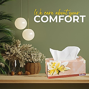 Reeflex Premium Facial Tissues 230 Sheets Per Box, 2-Ply Soft Touch, Gentle and Durable in A Stylish Box - 3 Total Boxes, 690 Sheets Family Pack