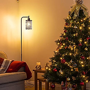 Hong-in Crystal Floor Lamp - Tall Lamp with 6W LED Bulb, Modern Standing Floor Lamps for Living Room with Foot Switch, Black Floor lamp for Bedroom Office Reading Dining Room Kitchen, 64.6 Inch