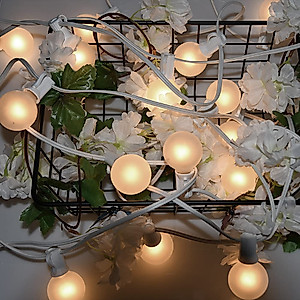 Pallerina G40 Frosted Replacement Bulbs, 25 Pack 5 Watt G40 Replacement Light Bulbs for string lights with 12/C7 Candelabra Base, G40 Incandescent Bulbs for Indoor Outdoor Decorative