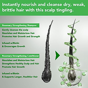 Rosemary Shampoo and Conditioner,Hair Growth Shampoo and Conditioner for Thinning Hair Strengthening Scalp Health Promotes Hair Regrowth,Shampoo and Conditioner for Hair Loss for Women Men