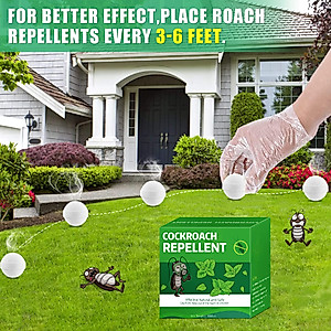 36 Pack Roach Repellent Peppermint Oil to Keep Cockroach Away from House, Powerful Cockroach Repellent, Roach Spider Ant Mouse Repellent for Home Kitchen Office Hotel Garage Car, Safe for Humans