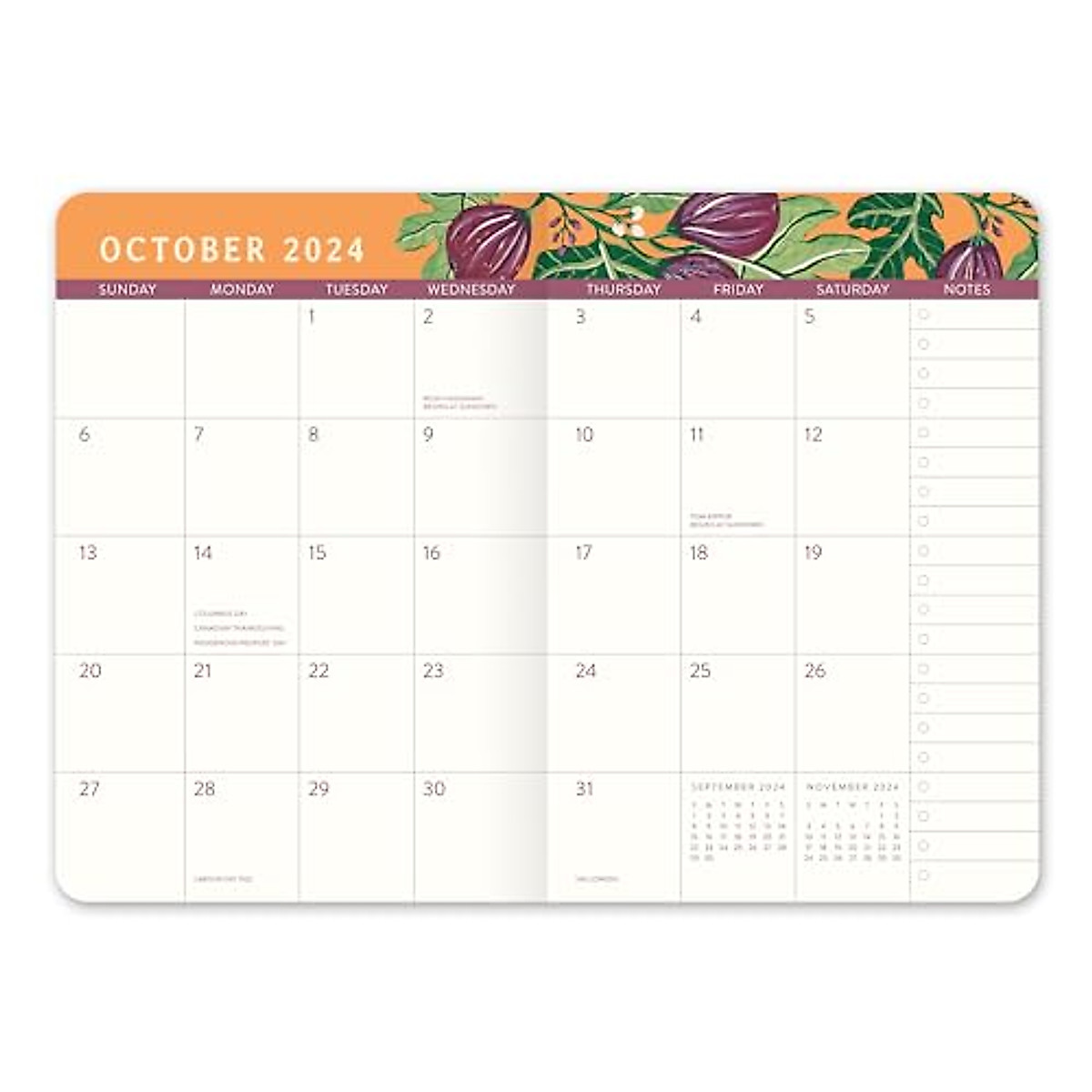 Orange Circle Studio Planner 2024, Weekly & Monthly Calendar, To Do List Notepad, Appointment Book, Budget & Goal Tracker, Small Pocket 17-Month Agenda for School/Work, Fruit & Flora
