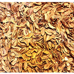 Blood Flower Milkweed Seeds - Food and Host Plant for Monarch Butterflies…