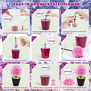 Crystal Growing Kit, STEM Projects Science Kits for Kids Age 4-6-8-12, Crystals Grow Fast (24H) Science Experiments Kit Toys, Art & Crafts Gift Toys for 6 7 8 9 10 11 12 Years Old Girls & Boys