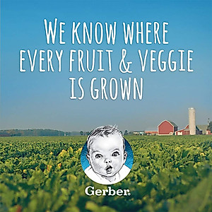 Gerber Baby Food, 2nd Foods, Pear Cinnamon with Cereal 8 Ounce (Pack of 8)