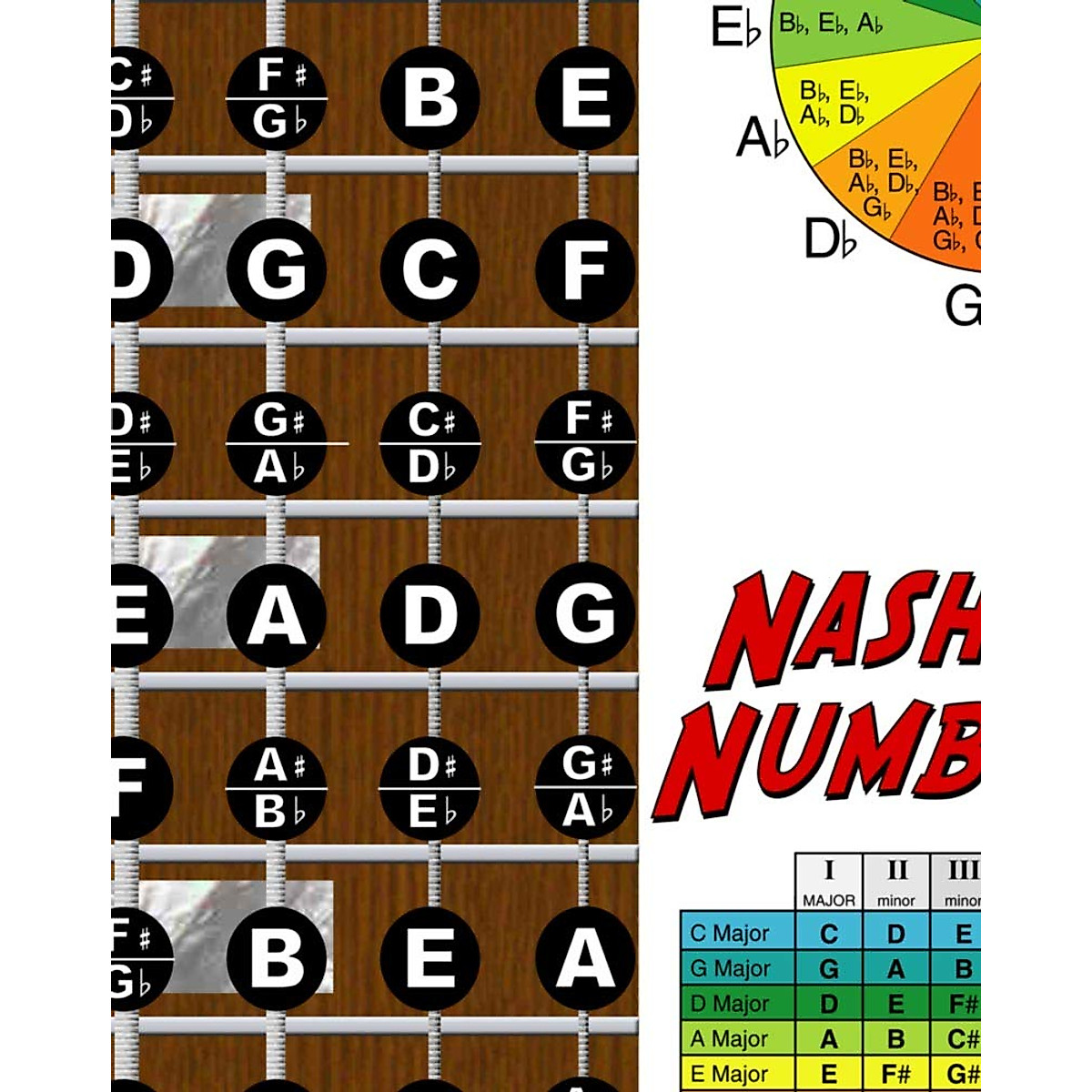 Laminated 6 String Bass Fretboard Notes Chart Nashville Number System & Circle of 5ths Easy Instructional Poster for Beginner for Notebook - A New Song Music 8.5 x 11