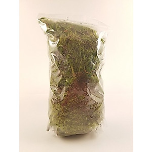 EZ-Botanicals Fresh Mood Moss Perfect for Terrariums and Bonsai