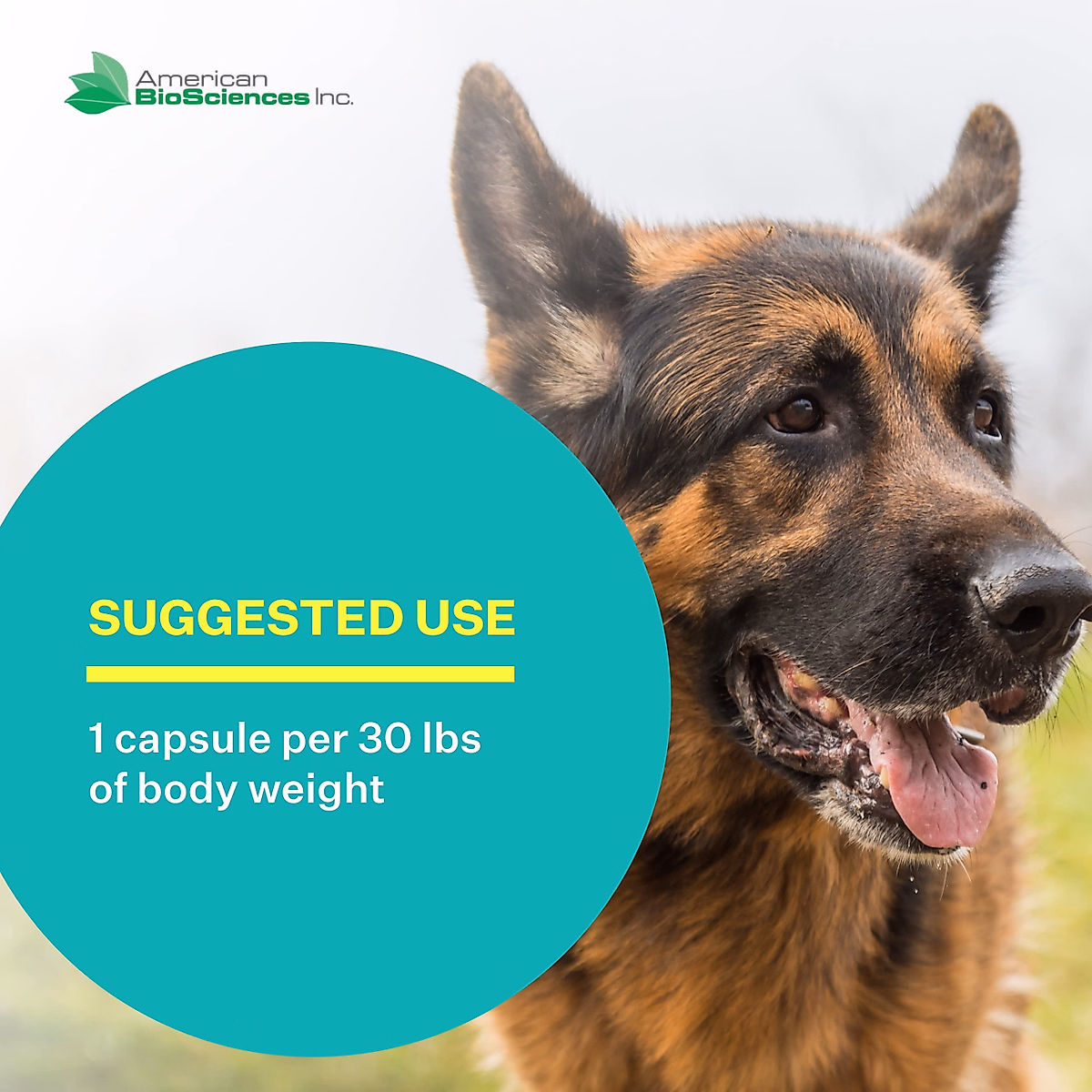 American BioSciences NK-9, AHCC Supplement for Dogs & Cats - Dietary Supplement to Support Immune System - Made for Pet's Immune Defenses - 30 Capsules, 250mg/capsule