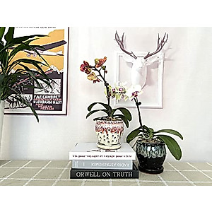 Orchid Pots with Holes 4.33 inch Ceramic Orchid Planter White and Black (Set of 2)