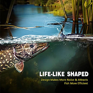 HENGJIA Topwater Fishing Lures for Bass Fishing with Storage Box, Floating Popper Fishing Lure for Bass Catfish Pike Perch, Floating Pencil Bass Bait with Rotating Tail Freshwater or Saltwater