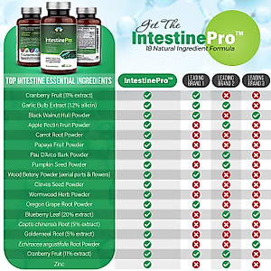 IntestinePro Intestine Support for Humans with Non-GMO Wormwood, Black Walnut, Echinacea + 15 More Premium Ingredients, 60 Vegetarian Capsules