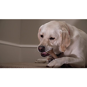 Hero Bonetics™ Femur Bone Dog Chew Toy Medium / Peanut Butter