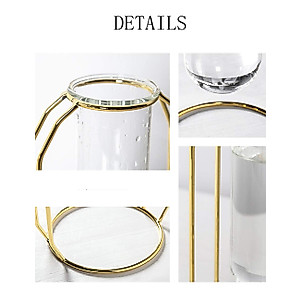 2 Pcs Flower Vases with Iron Art Frame, Geometric Plant Pot, Centerpiece Plant Vase, Plants Tabletop Display Holder for Wedding Table Office Living Room Decor (Gold, S+L)