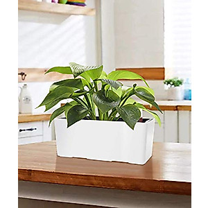 SAROSORA 14" Rectangle Self Watering Planter with Water Level Indicators for Plants & Flower Home Garden Outdoor Indoor Succulent | Herb pots | Window Box (1, White)