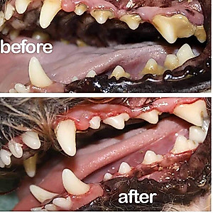 LeMall Petry Oral Spray for Dogs - Petry Teeth Cleaning Spray for Dogs and Cats, Pet Breath Freshener Spray Care Cleaner, Oral Spray for Pets, Dog Dental Spray Reduces Plaque & Tartar Buildup (2pcs)