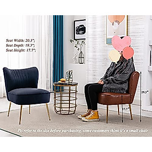 DUOMAY Modern Accent Chair Set of 2 Velvet Slipper Chair with Gold Legs Wingback Side Chair for Living Room Bedroom Entryway Small Corner Chair for Space Saving, Black