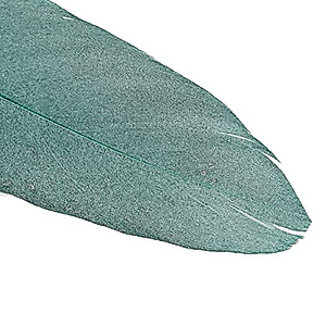 VADUMA Feather Pen Set Calligraphy Dip Pen Easy Writing Stationery Gift Box for School Office Wedding Supplies (SP172043 Pearlescent Dark Green)