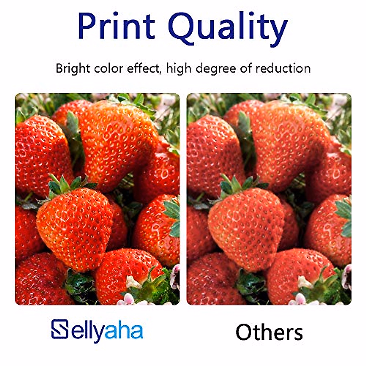 Sellyaha Ink Cartridge Replacement for Canon PG-245XL CL-246XL Compatible with Canon PIXMA IP2820 MG2420 MG2520 MG2522 MG2525 MG2555 MG2920 MG2922 MG2924 MG3020 MX490 MX492 Printer