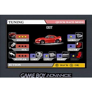 GT Advance Championship Racing (Renewed)