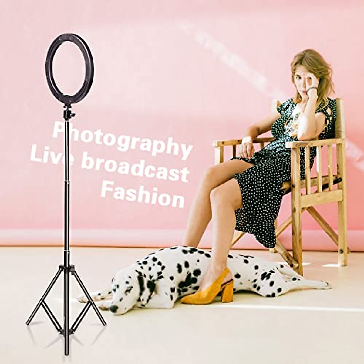 Ring Light 10" with 67" Extended Tripod Stand & Phone Holder for YouTube Video, Camera Led Ring Light for Streaming, Makeup, Selfie Photography Compatible with iPhone Android