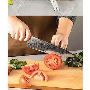 8-Inch Japanese Style Chef Knife – VG-10 Damascus Steel Blade, Ultra-Sharp High-Carbon Core, Ergonomic White Turquoise Resin Handle, Professional Luxury Kitchen Knife for Home Chefs, Includes Gift Box