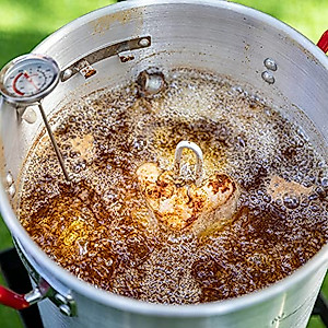 Grills House Turkey Fryer Set TF30TG, Aluminum Fish Boiler Steamer Kit with Heat-Resistant Gloves, 50,000 BTU Propane Burner, Ideal for Thanksgiving Day and Outdoor Cooking, 30 Qt & 10 Qt Pot