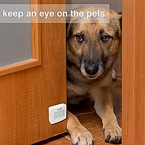 Onvis Smart Homekit Motion Sensor Indoor Humidity Gauge Hygrometer Thermometer Home Automation Trigger Bluetooth No Hub Required