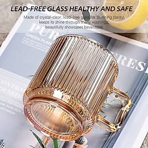 Leadiy Brown Glass Coffee Mug with Lid, Clear Glass Coffee Cups, Classical Vertical Stripes Coffee Mugs for Latte Juice Tea 12.5 Ounces