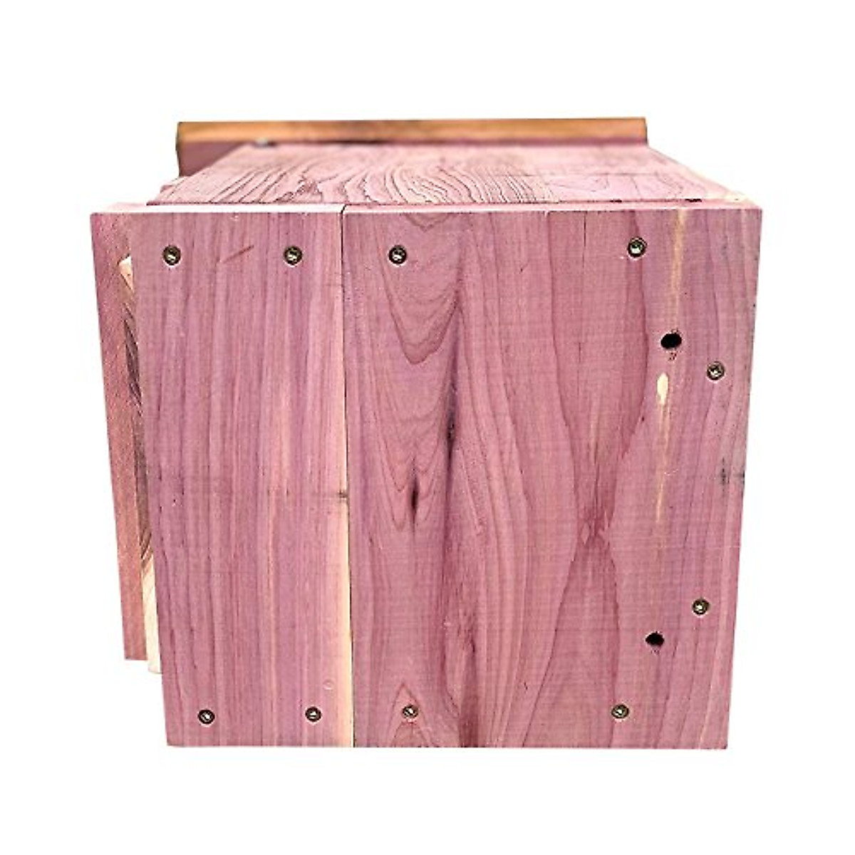Vundahboah Amish Goods Screech Owl House Box for Nesting- Handmade in USA- Solid Cedar Wood Saw-Whet/Kestrel/Screech Owl/Flicker- Cedar Shavings Included