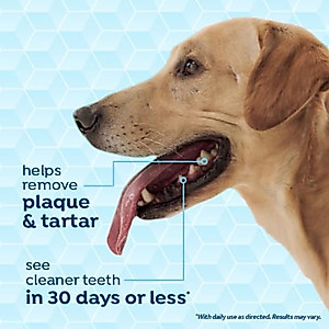 Fresh Breath Certified Wellness Collection Vet Recommended Peanut Butter Oral Care Clean Teeth Gel for Dogs | Removes Plaque & Tartar | Cleans Teeth | Dog Dental Care | No Brushing Required | 2 oz