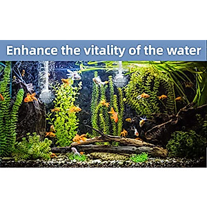 Solar Aerator Air Pump/Oxygenator for Fish Tank and Pond, 2.5w, No Noise Design with Oxygen Pipe and 3 Air Bubble Stones, Oxygen Supply for Various Tanks/Pond/Aquarium/Gardening Water Circulation