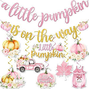 Little Pumpkin Baby Shower Decorations, Girl Pink Pumpkin Baby Shower Decorations includes a Little Pumpkin Is On The Way Banner and A Little Pumpkin Is On Her Way Baby Shower Hanging Swirls