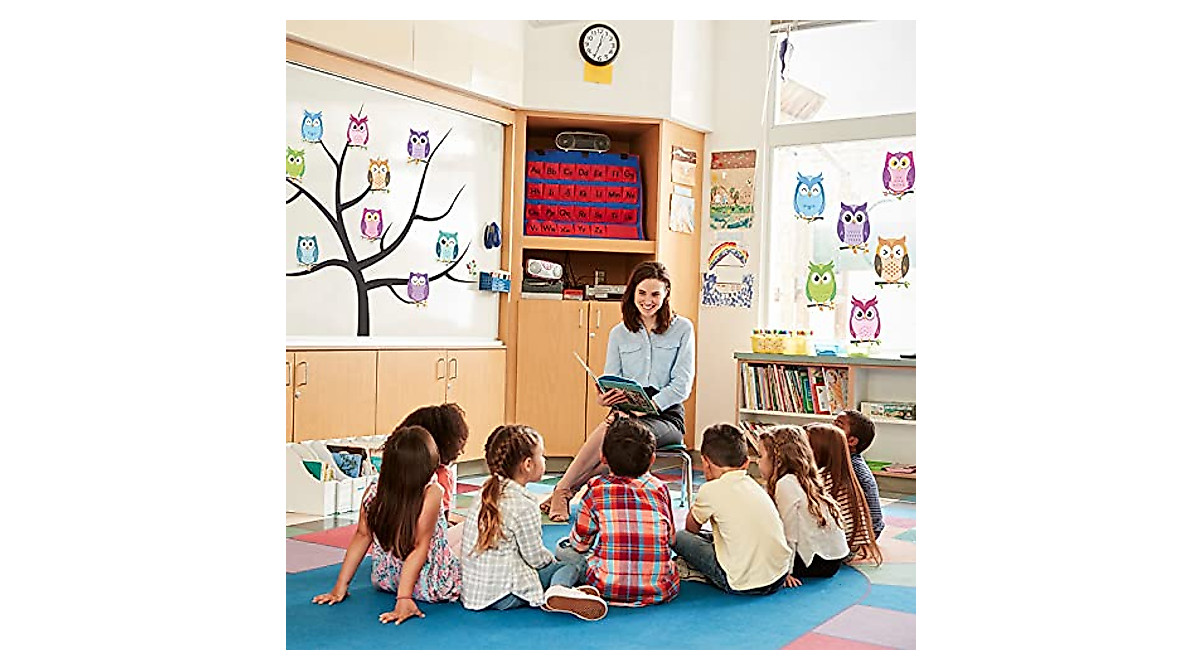 Colorful Owl Cut-Outs for Classroom & Party Decor | 45 Pieces