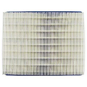Air Filter for Club Car 1015426 4-Cycle DS Gas Golf Cart Models 1992 and Up Stens # 100-659 Sunbelt B1SB8331 Prime Line 7-08328
