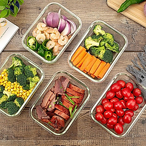 Bene Casa 10-piece glass food storage container set, air tight led containers, oven safe, microwave safe, freezer safe, dishwasher safe