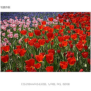 Sony E 55-210mm F4.5-6.3 Lens for Sony E-Mount Cameras (Black)