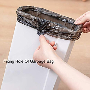 LZQBD Waste Bins,Dual Trash Garbage Can, 22L Rubbish Bin, Plastic Step Bin, Dual Compartments, Plastic Inner Buckets and Hinged Lids, Handles, Soft Closure, Airtight