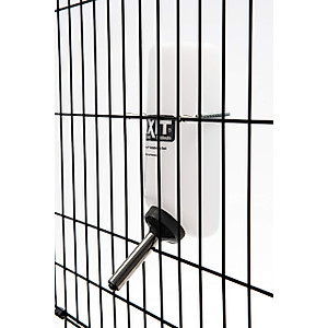 Lixit Wide Mouth Water Bottles for Large and Small Dogs (32oz Large Dog, White)