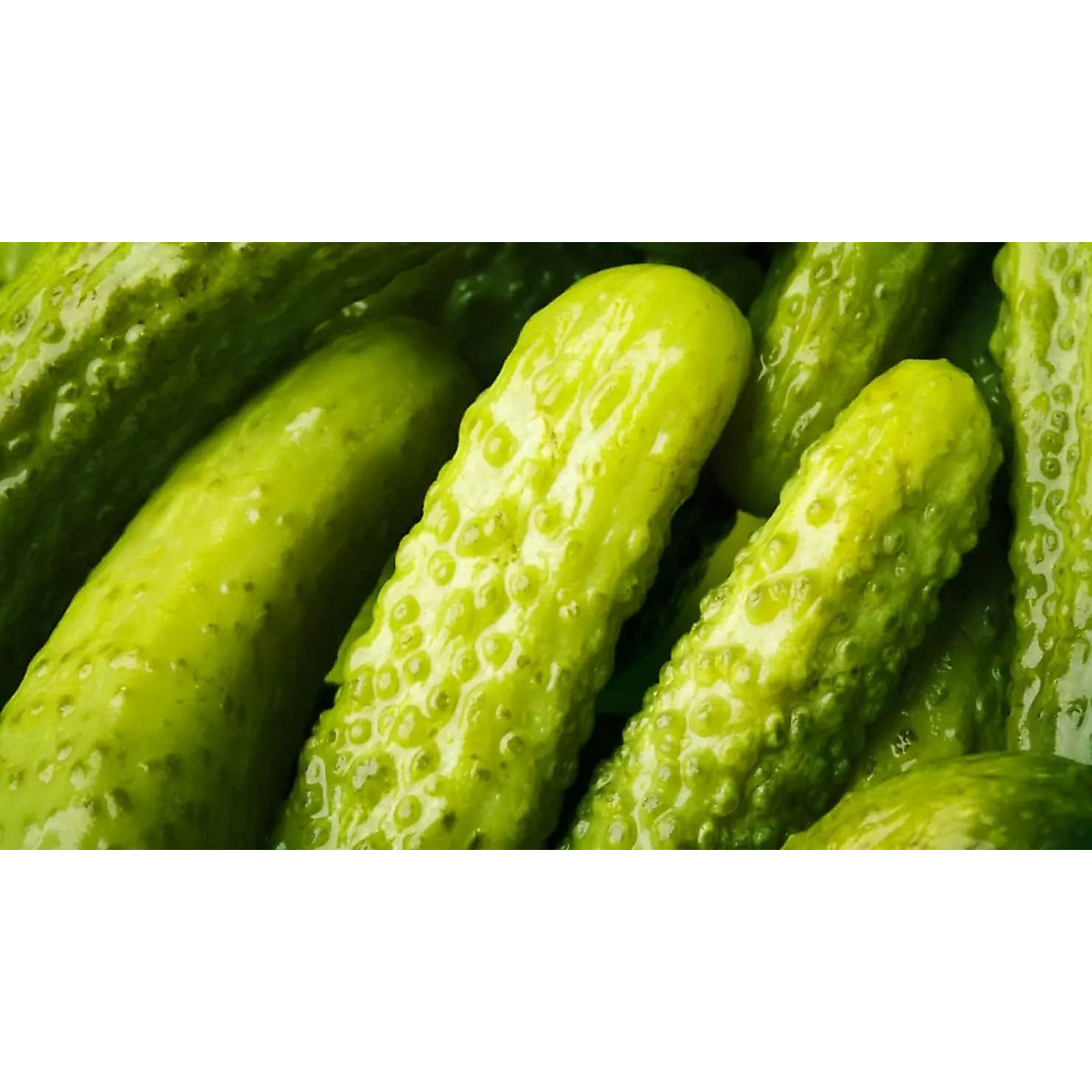 Best Maid Dill Pickle 60-80 Count 5 Gallons | Foodservice Bulk | Concession Stand Items | Gourmet | American Grown & Made | Take Home a Taste of Texas