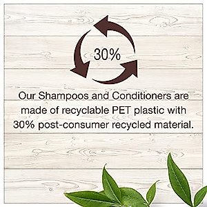 Garnier Whole Blends Moroccan Argan & Camellia Oils Moisturizing Leave-in Conditioner for Dull Hair, 5.1 Fl Oz, 1 Count (Packaging May Vary)