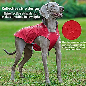 FamilyQL Dog Coat Water-Resistant Windproof with Reflective Trim Dog Jacket Warm Fleece Lined Anti-Tear Adjustable Outdoor Dog Clothes for Small Medium Large and Extra Large Dogs (Grey, Medium)