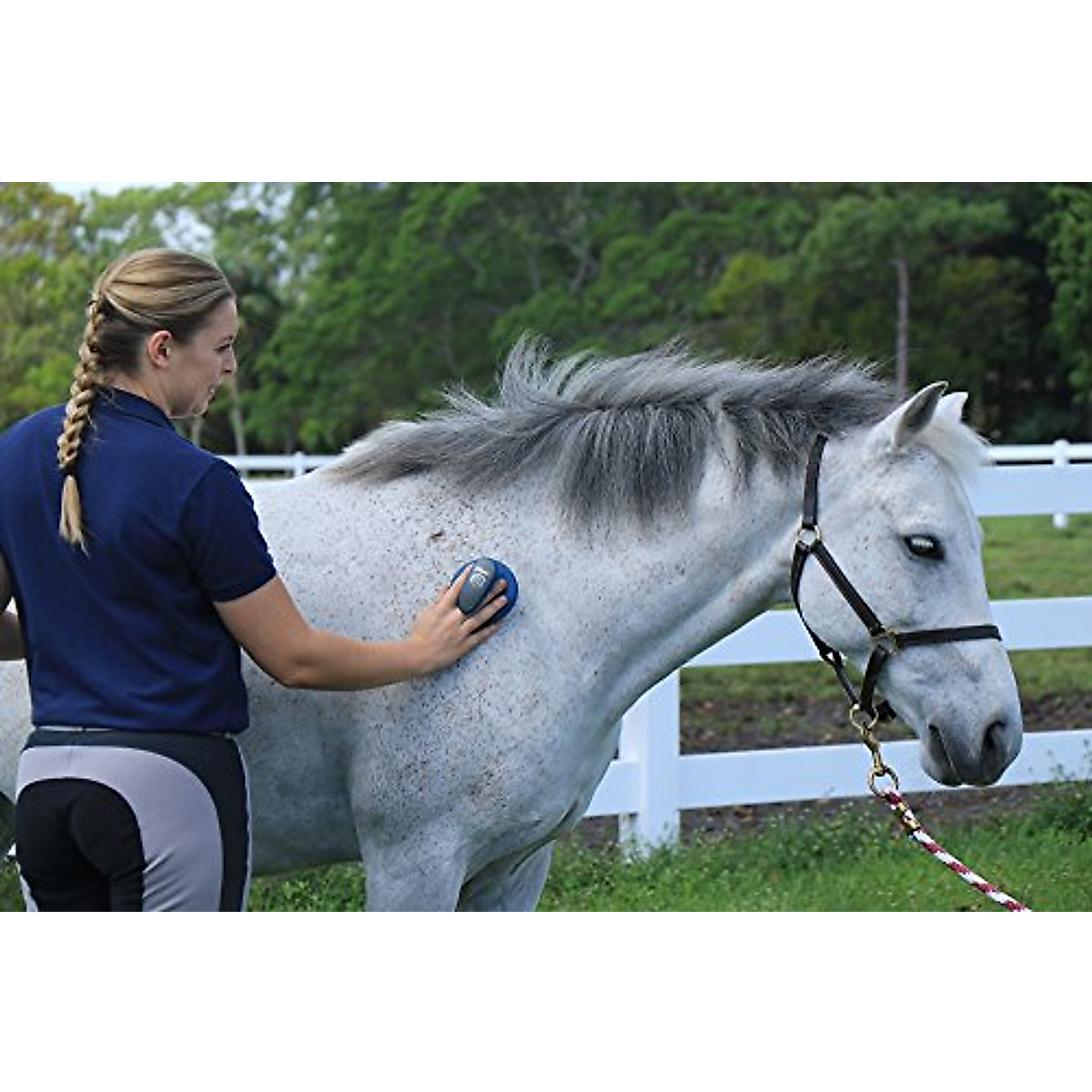 Oster Equine Care Series 7-Piece Horse Grooming Kit