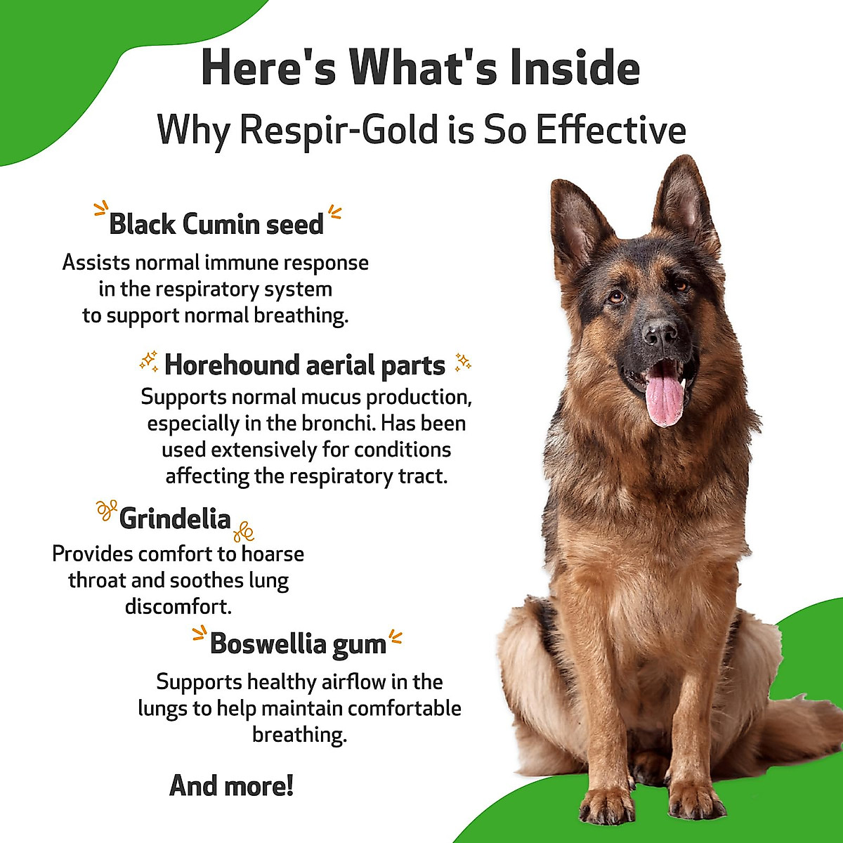 Pet Wellbeing Respir-Gold for Dogs - Supports Healthy Breathing, Open Airways, Respiratory Support, Black Cumin, Horehound, Grindelia - Veterinarian-Formulated Herbal Supplement 2 oz (59 ml)