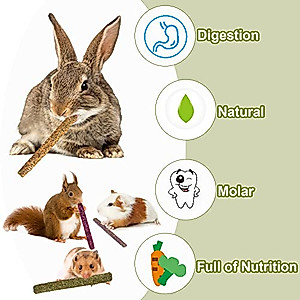 small pet 20PCS Bunny Chew Sticks, Mixed Natural Flowers Flavored Timothy Hay Sticks, Natural Snacks Teeth Grinding for Bunnies Chinchillas Hamsters Guinea Pigs and Other Small Pets Treats(Flowers)