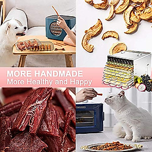 5 Pieces Non-stick Fruit Dehydrator Mats,Reusable Dhydrator Screens ,Dehydrator Sheets Fruit Dryer Mesh for Hamilton Beach 32100A (12.2"x9.45")